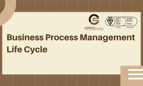 Business Process Management Life Cycle | COGNOSCENTI CONSULTING GROUP ...